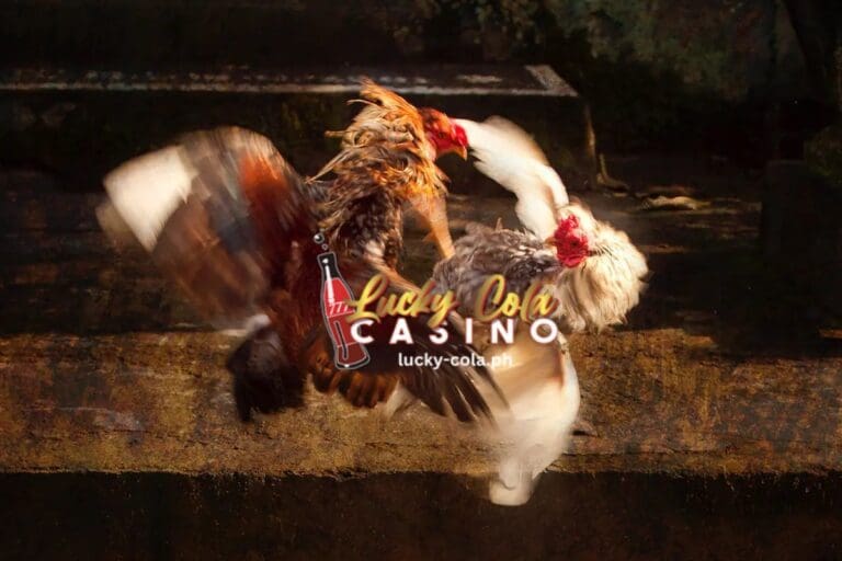 Paano Itaguyod ang Pag-aalaga ng Isang Manok na pang Sabong - Lucky Cola